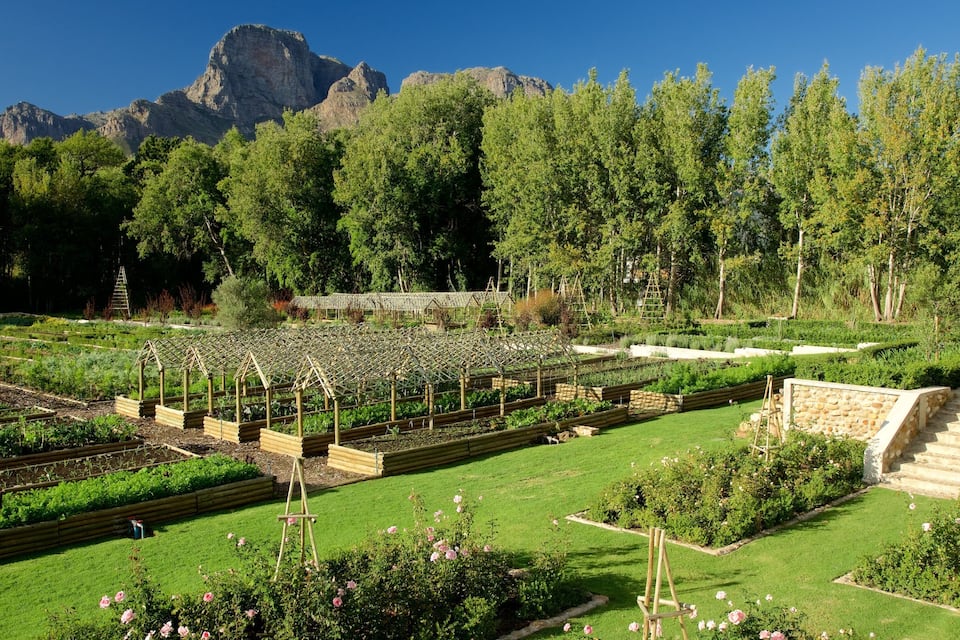 Um jardim bem cuidado com canteiros elevados, uma variedade de plantas e um pano de fundo de árvores altas e montanhas.