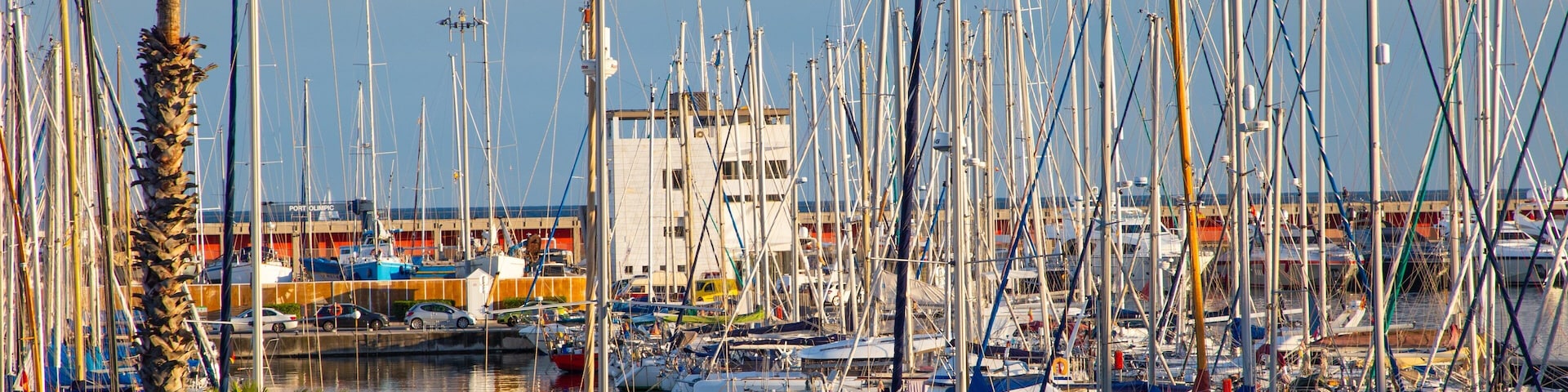 Port Olimpic showing a bay or harbor