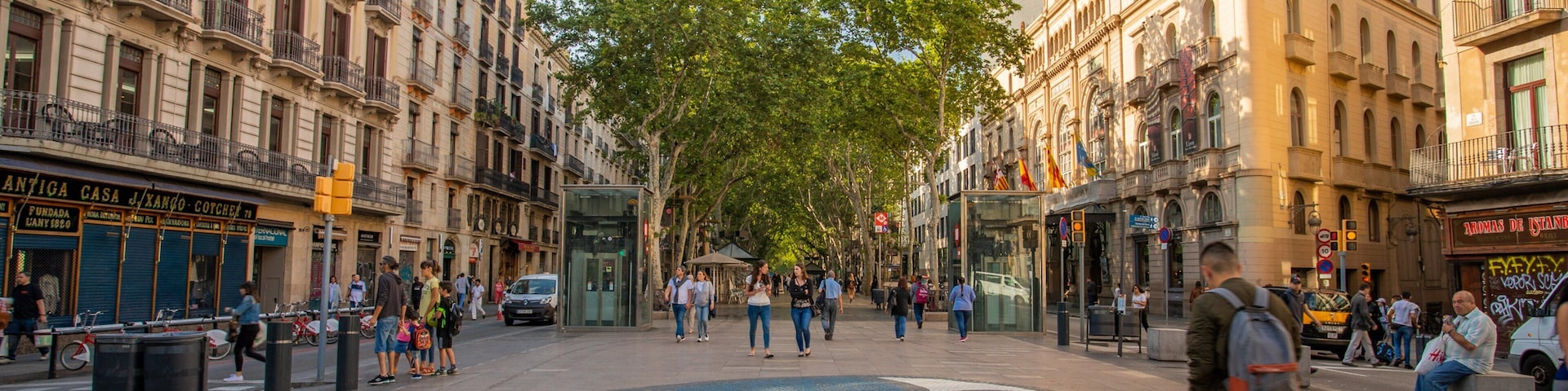 Las Ramblas featuring street scenes and a city as well as an individual male