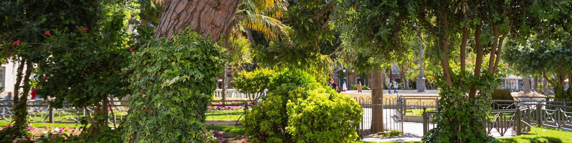 Plaza de Mina featuring wildflowers and a park