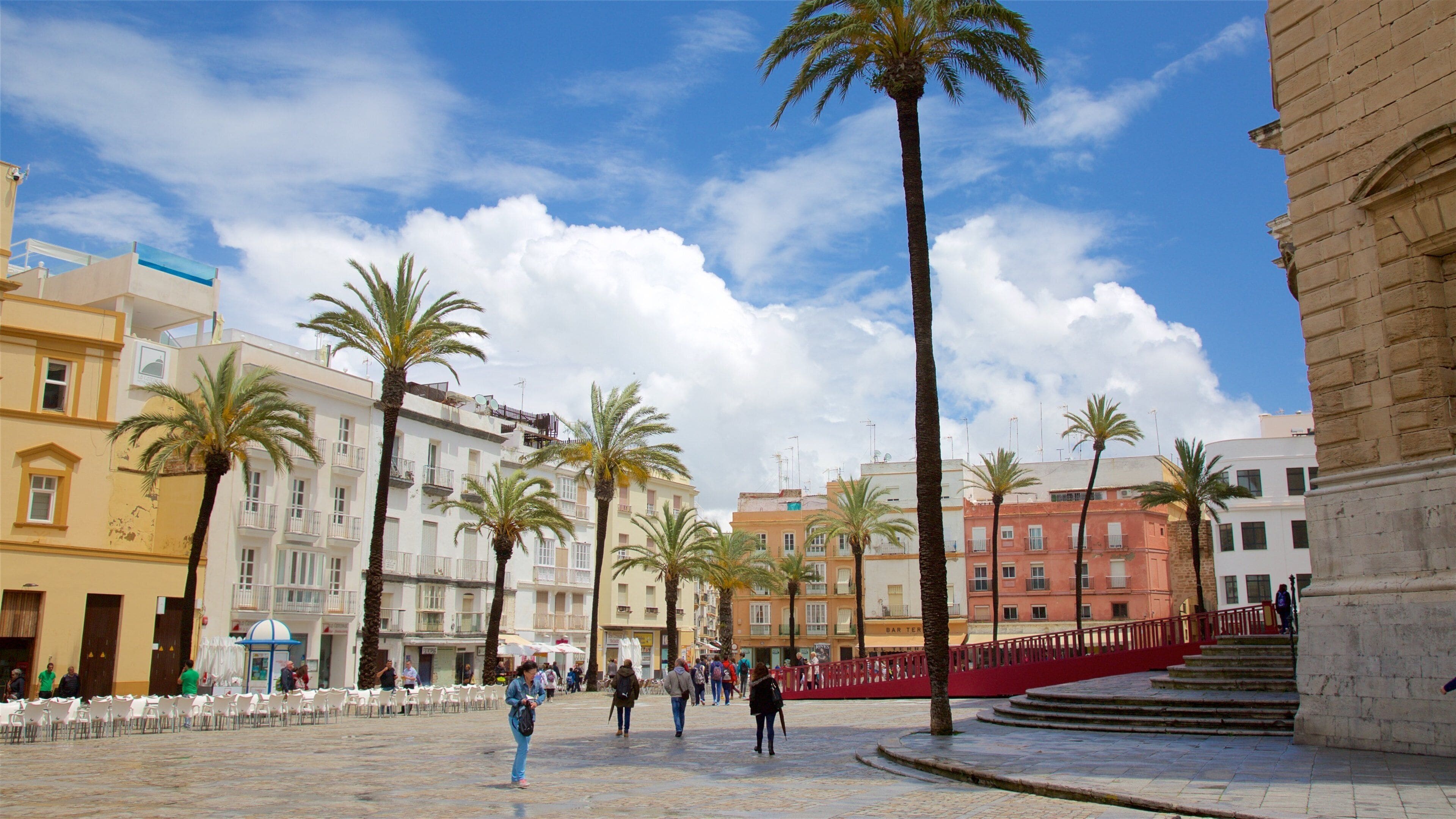 Cathedral Square showing a square or plaza and tropical scenes