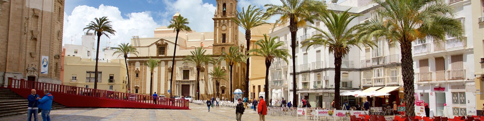 Cathedral Square which includes tropical scenes and a square or plaza