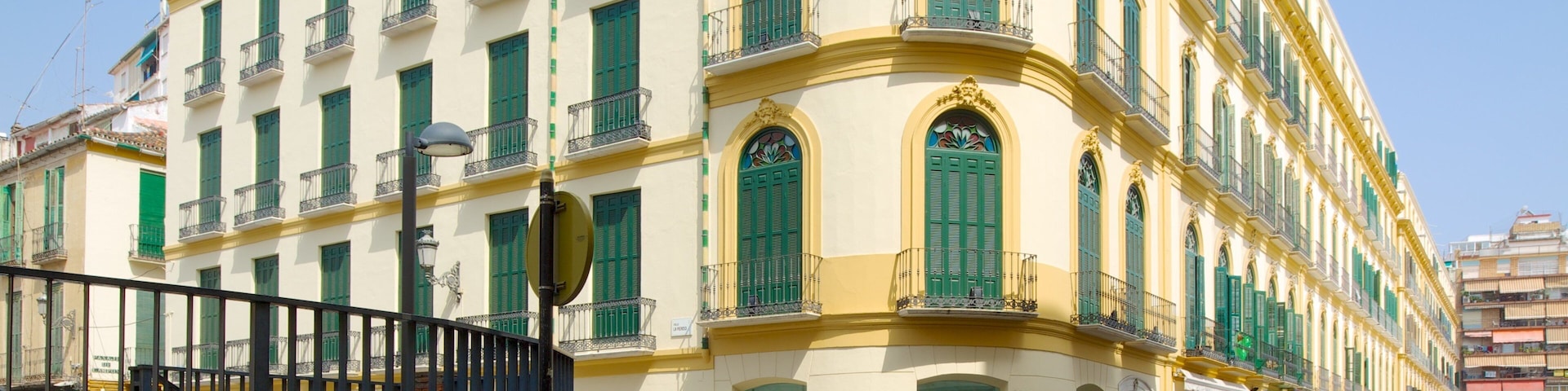 Picasso\'s Birthplace showing a city and street scenes