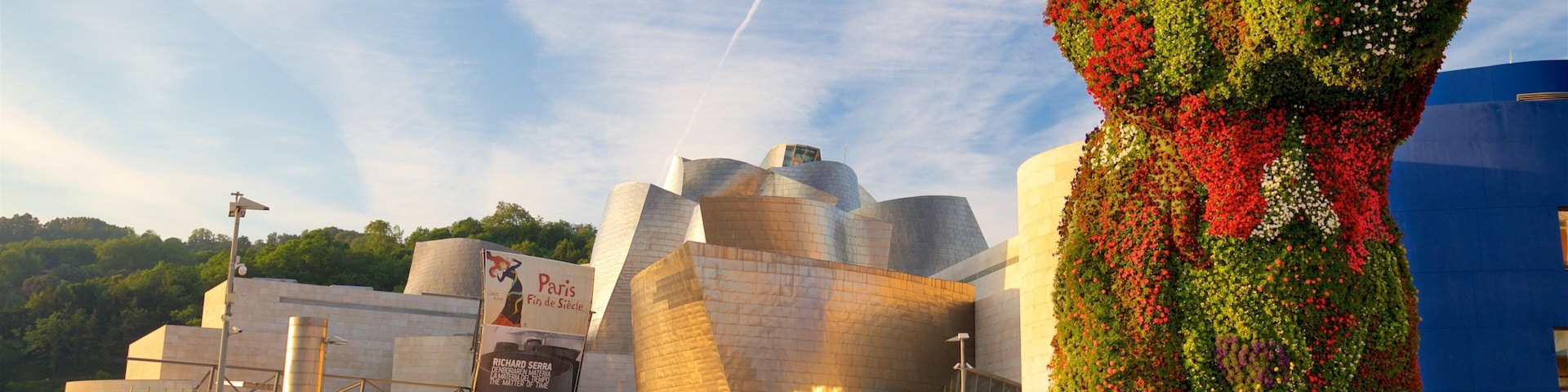 Guggenheim Museum Bilbao which includes modern architecture, outdoor art and a sunset
