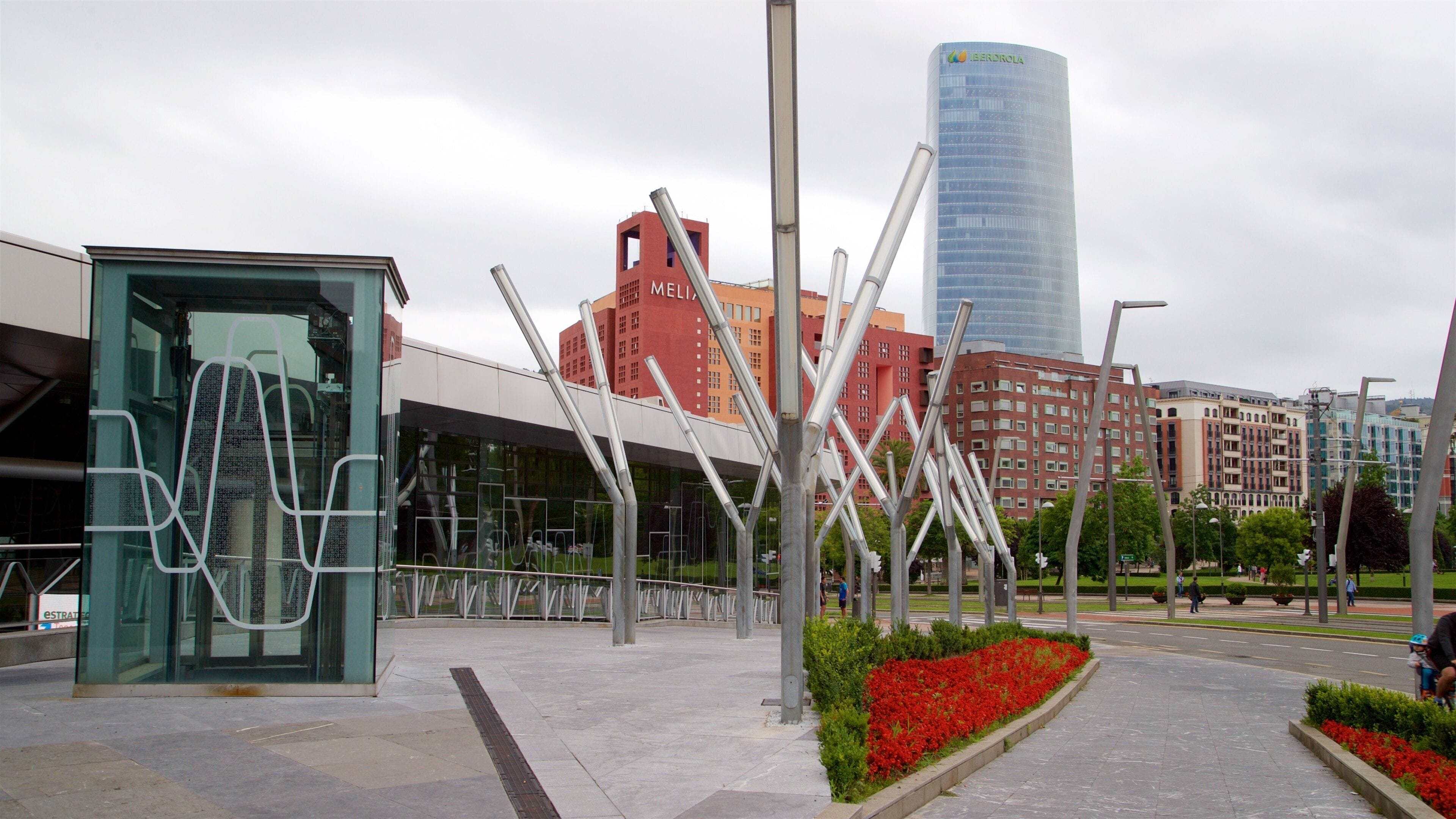 Euskalduna Conference Centre and Concert Hall featuring a high rise building, flowers and a city