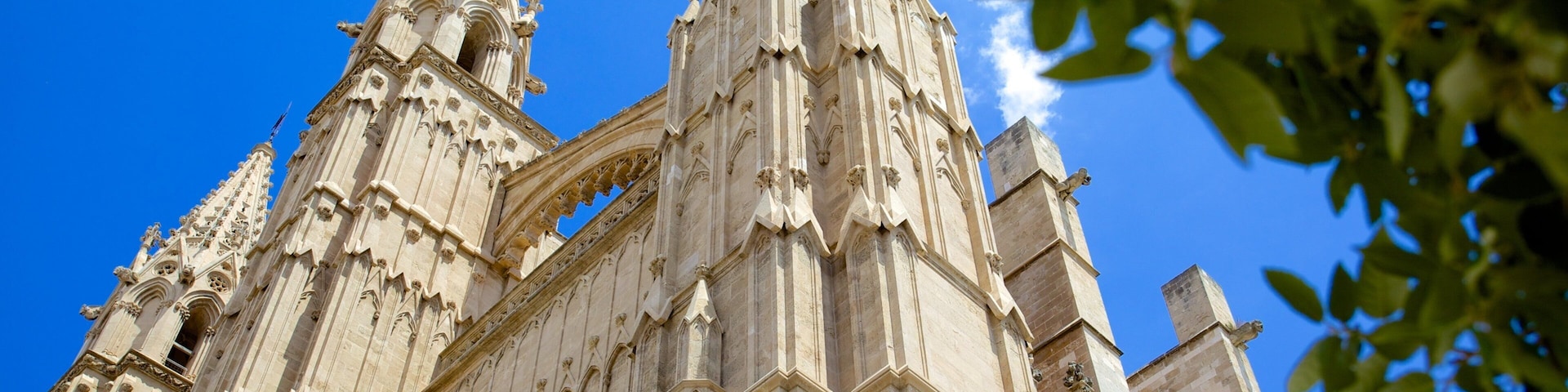 Mallorca Cathedral showing a church or cathedral, heritage architecture and religious elements
