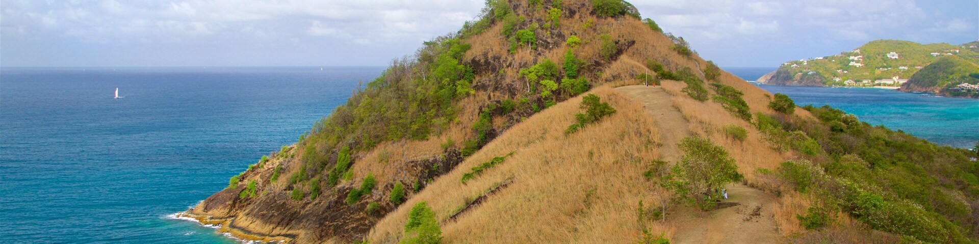 Pigeon Island National Park showing general coastal views and mountains