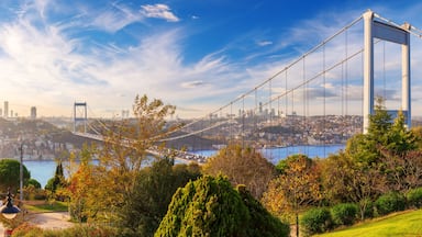 Uma ponte suspensa, um corpo de água, o horizonte da cidade e folhagem de outono.