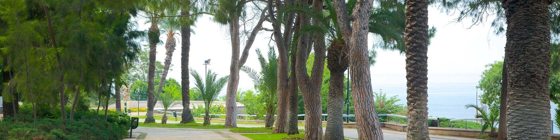 Karaalioglu Park which includes a park and landscape views