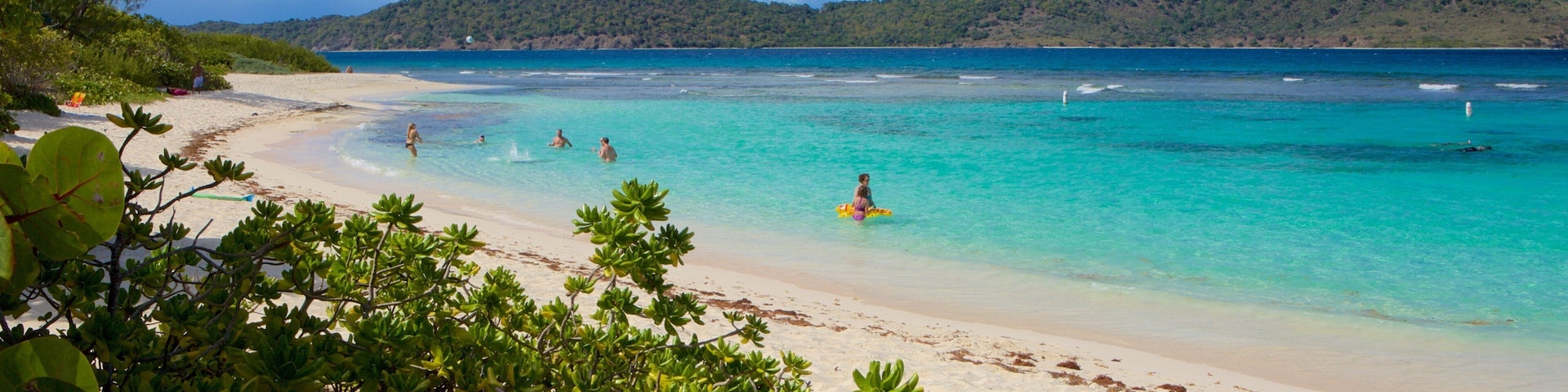 Smith Bay Beach showing tropical scenes and a beach