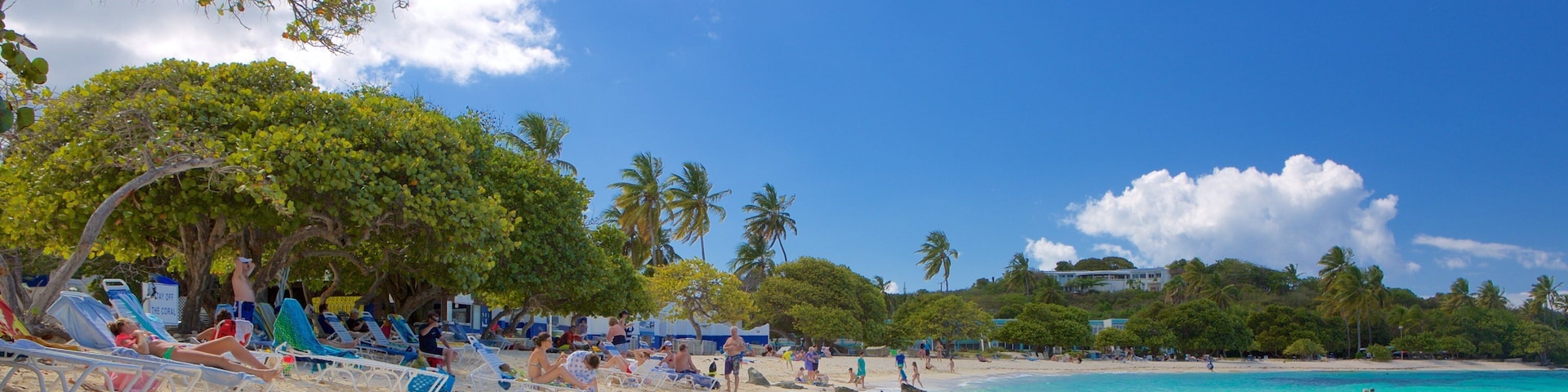 Sapphire Beach caracterizando uma praia e cenas tropicais