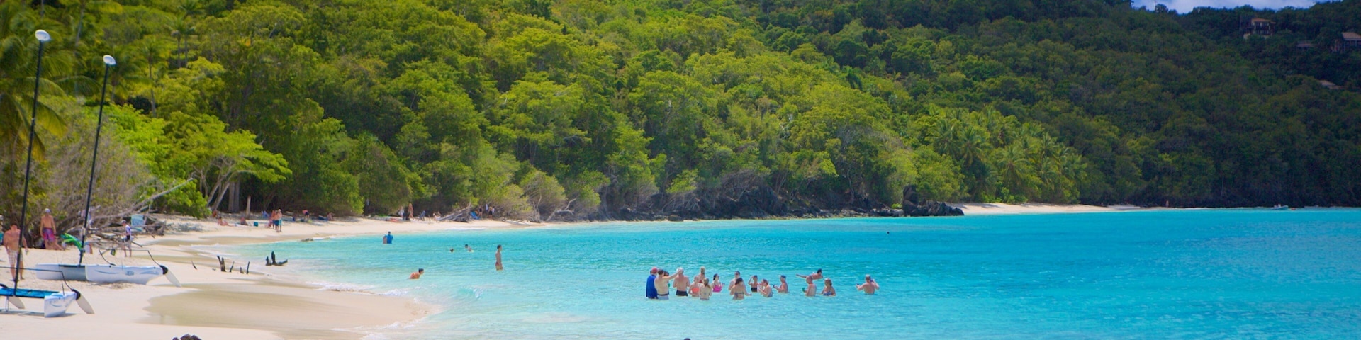 Cinnamon Bay featuring a beach