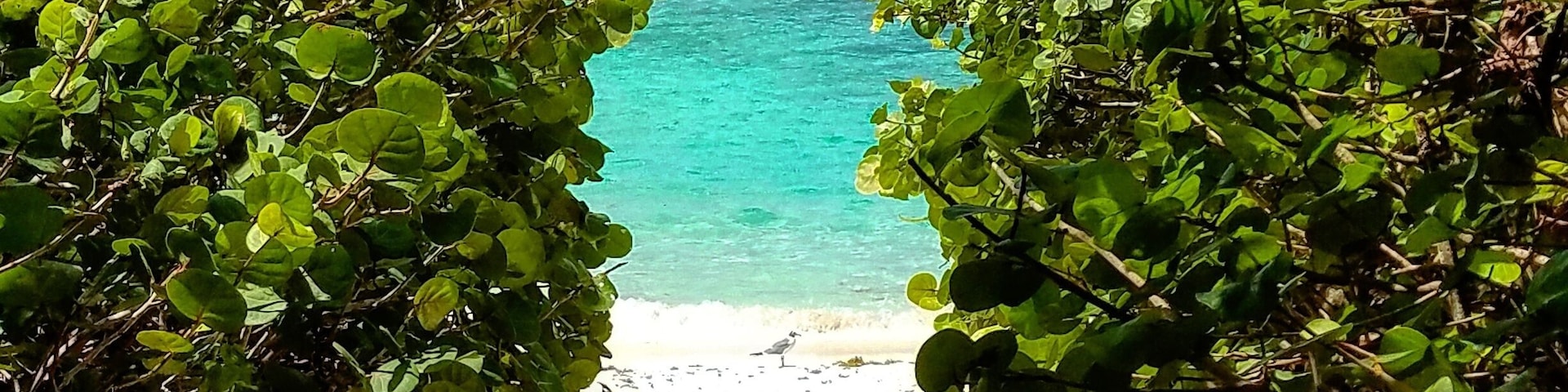 This is the path to happiness!! Follow it to nirvana