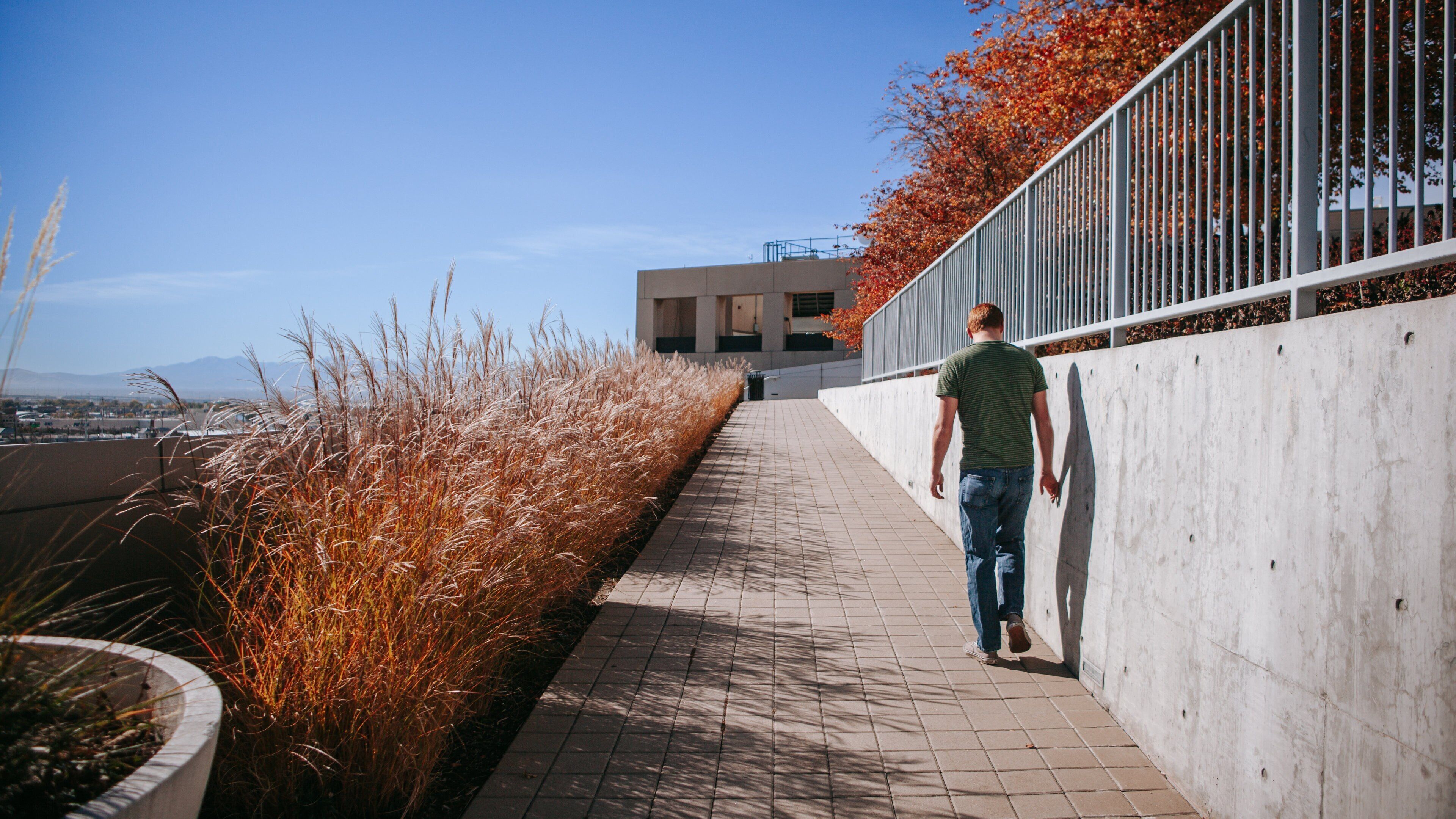 Salt Lake City Public Library featuring street scenes as well as an individual male
