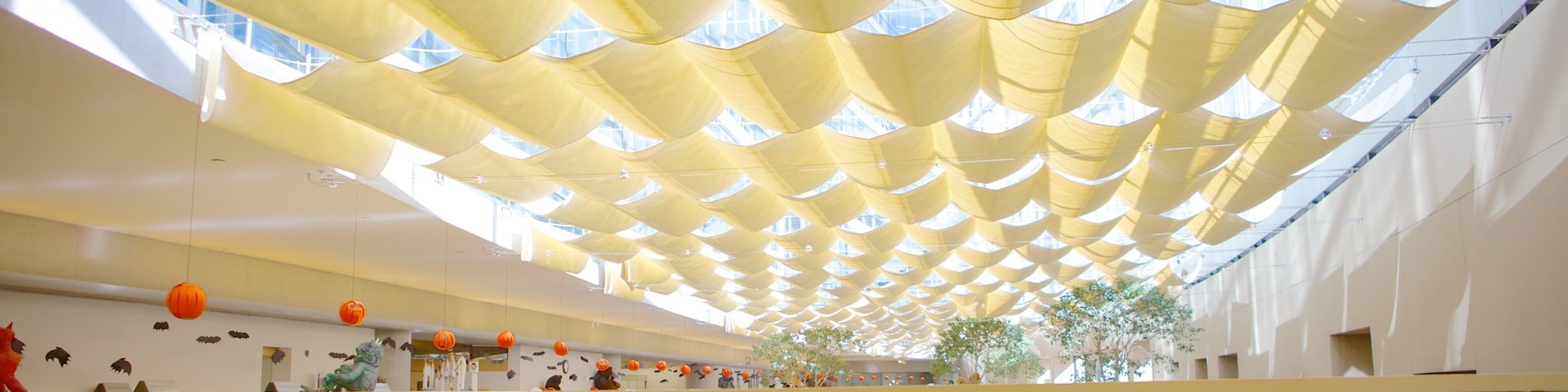 Uma biblioteca com design de teto singular e estantes repletas de livros.