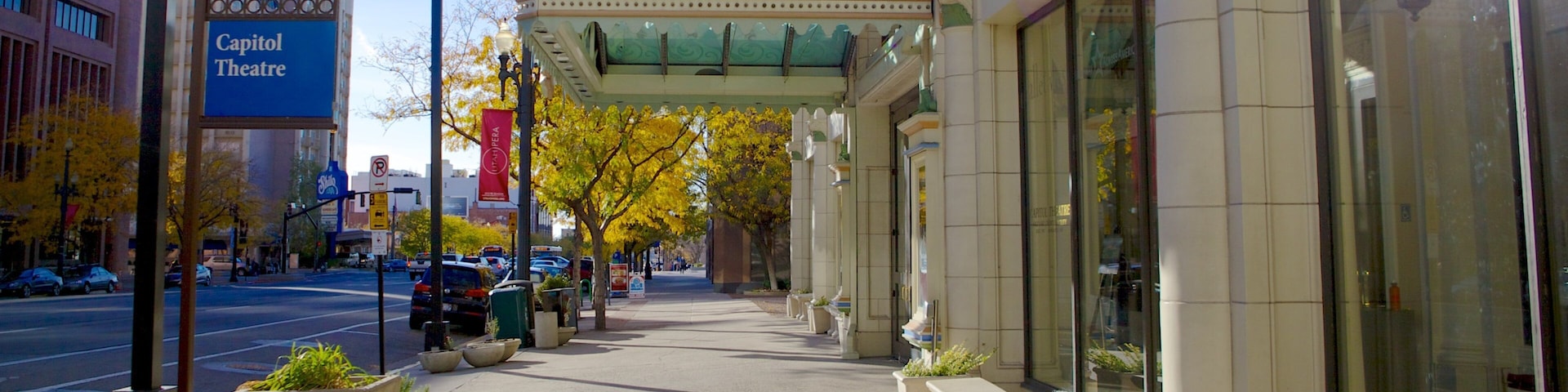 Capitol Theater which includes street scenes, signage and theater scenes