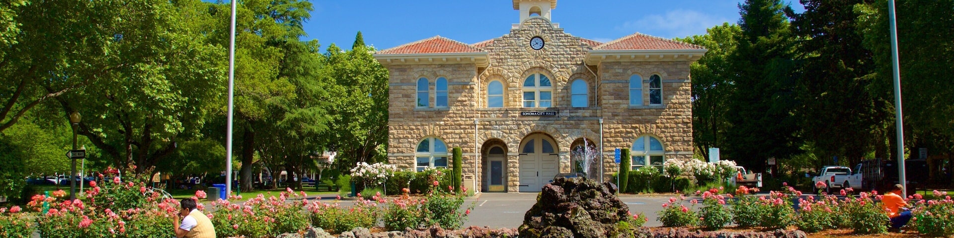 Sonoma Plaza showing flowers, heritage elements and a park