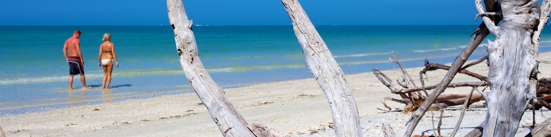 Barefoot Beach featuring a sandy beach as well as a couple