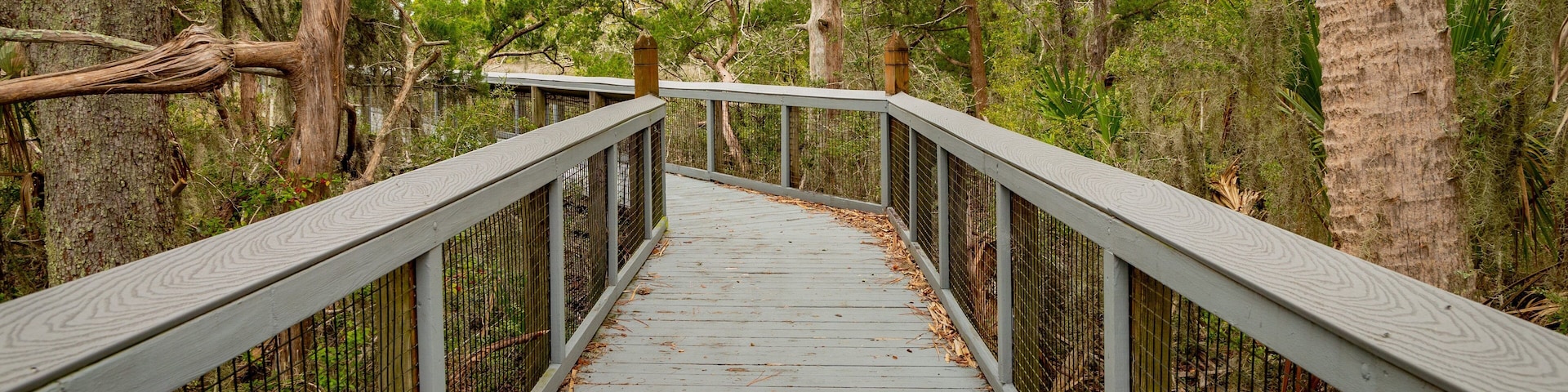 Fort Mose Historic State Park featuring a bridge and forests