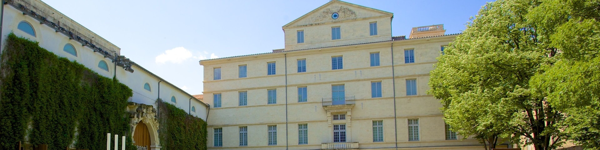 Fabre Museum featuring street scenes