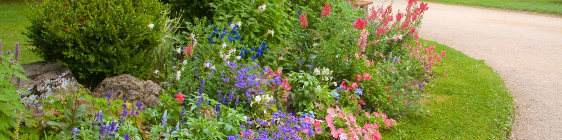 Grenoble caracterizando flores e um jardim