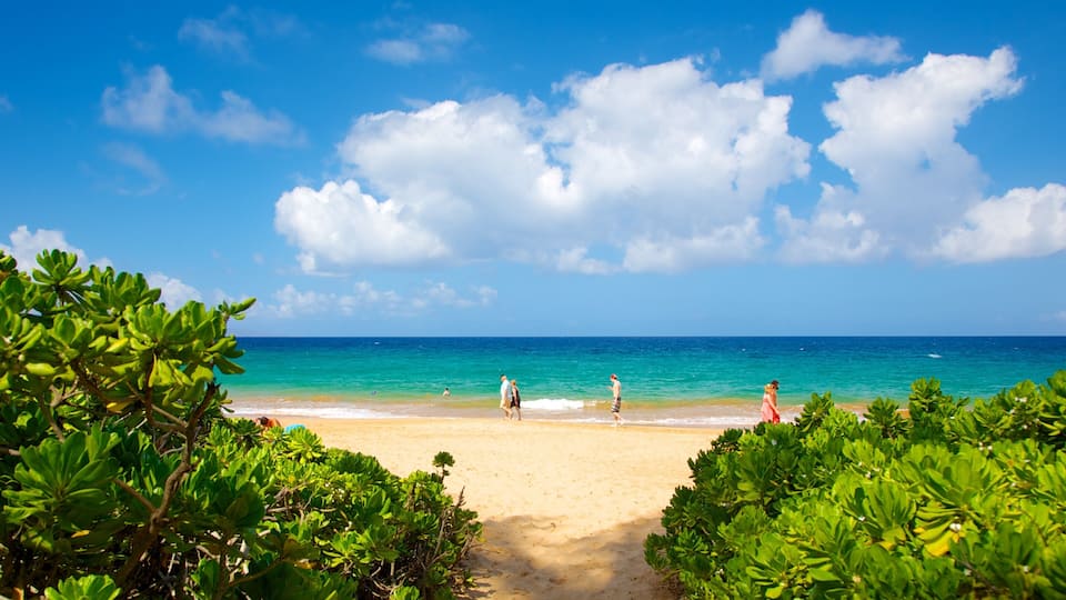 Keawakapu Beach North featuring a sandy beach, tropical scenes and landscape views