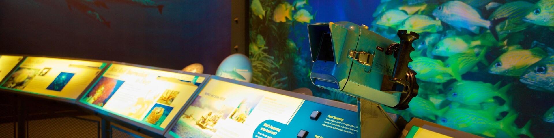 Um espaço de exposição em aquário, com tanques de peixes e painéis informativos.
