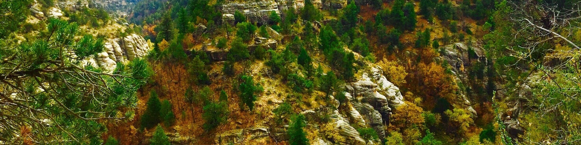 Walnut Canyon; home of the Hopi Indians who built rooms beneath the ledges of rock. Lowest depth measures approximately 400'. The landscape is beautifully decorated with various ground shrub and Ponderosa Pines.