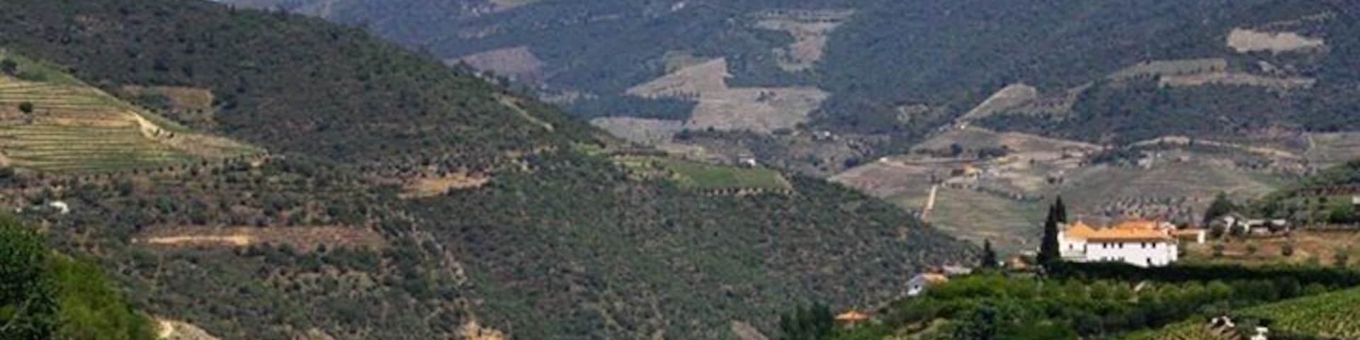 The Douro river!
Between the nice city Peso da Régua and Pinhão.
Portugal