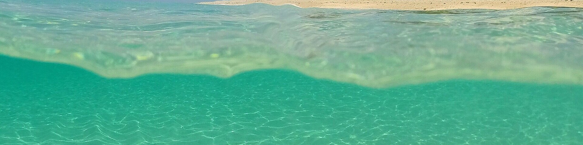 Everyday feels like a Friday here on Wilson Island! ☀️🐠🐟🌴😀
#gladstoneregion #wilsonisland #GoProANZ #thisisqueensland #seeaustralia #curtisferryservices