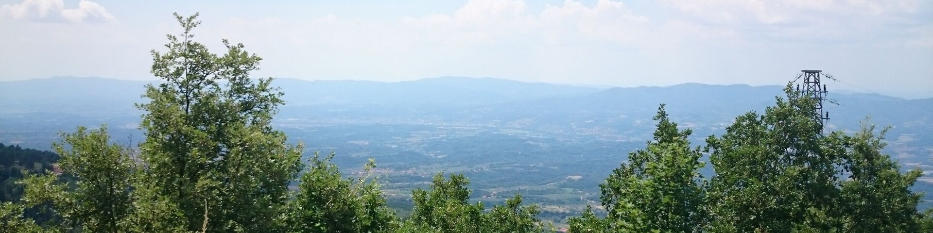 A forest to cool down in summer.  Good place for bbq and some drinks.  As well as for a hike in the mountains.
