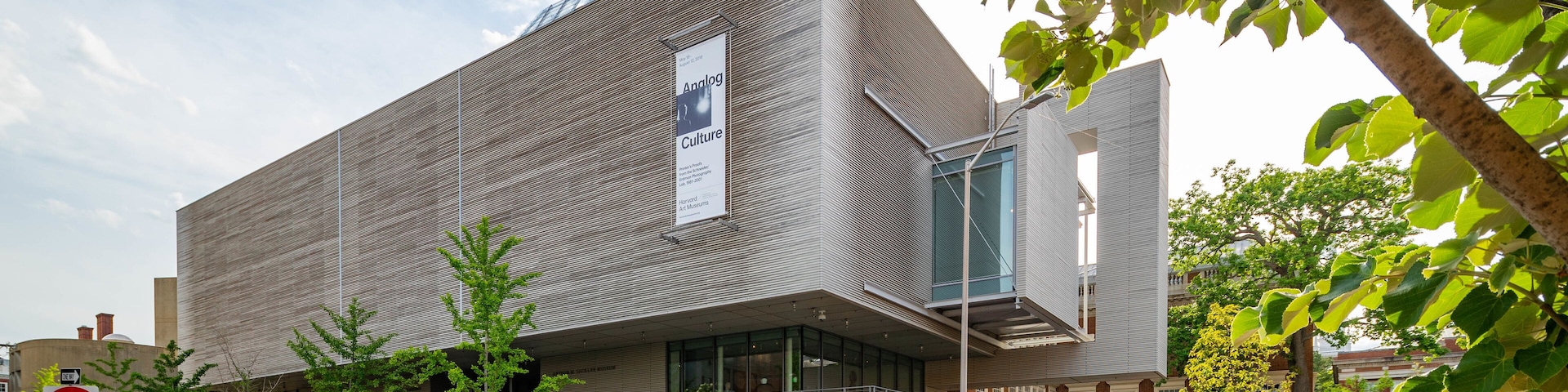 Harvard University Art Museums