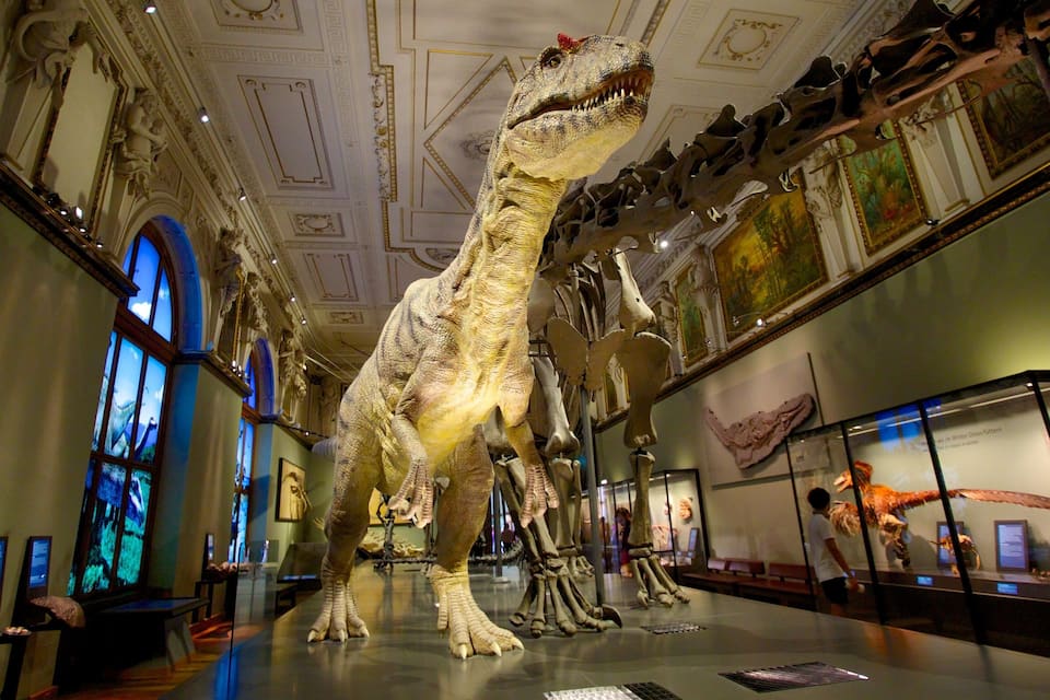 Um esqueleto de dinossauro em um museu com tetos ricamente decorados e exposições.