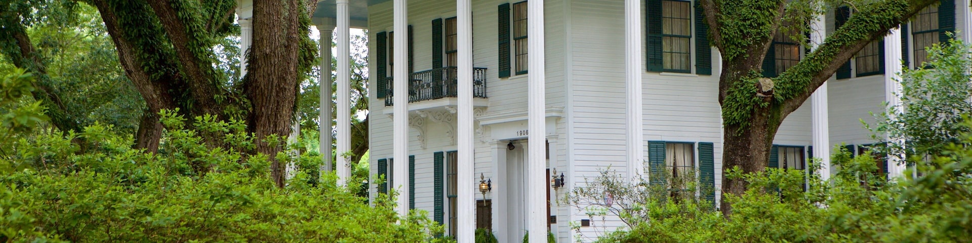 Bragg-Mitchell Mansion which includes a house