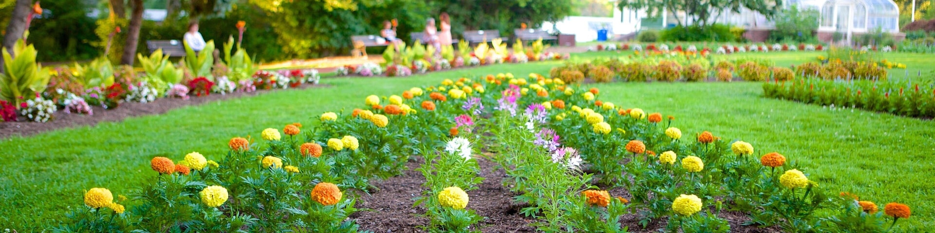 Elizabeth Park featuring a park and flowers