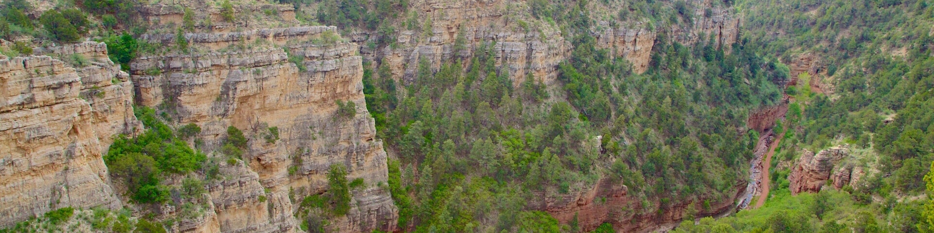 Cave of the Winds featuring a gorge or canyon
