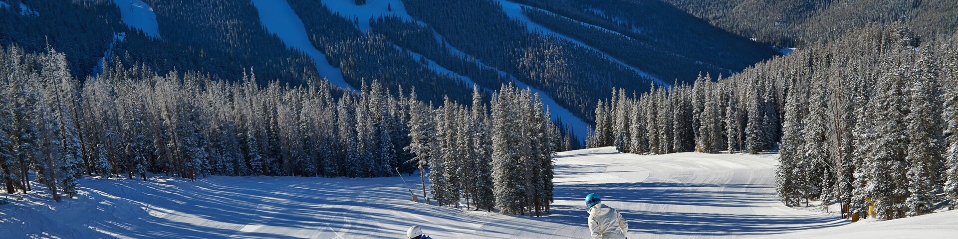 Keystone Ski Resort que inclui paisagem, cenas de floresta e montanhas