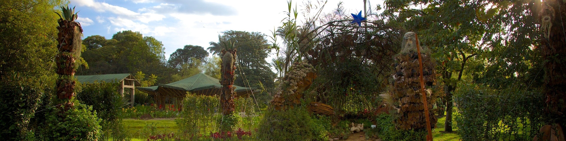 Jardim Botânico de Bogotá caracterizando um jardim