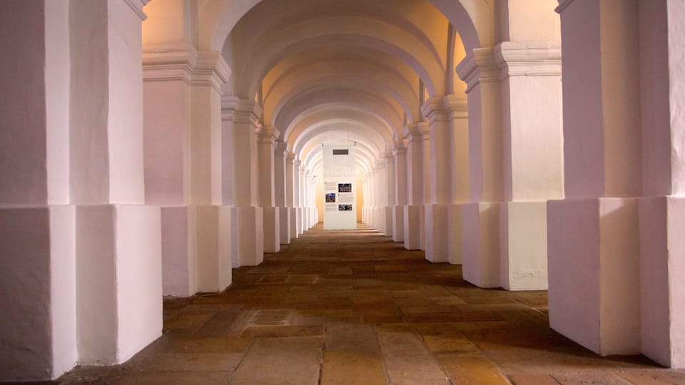 Museu Nacional mostrando vistas internas