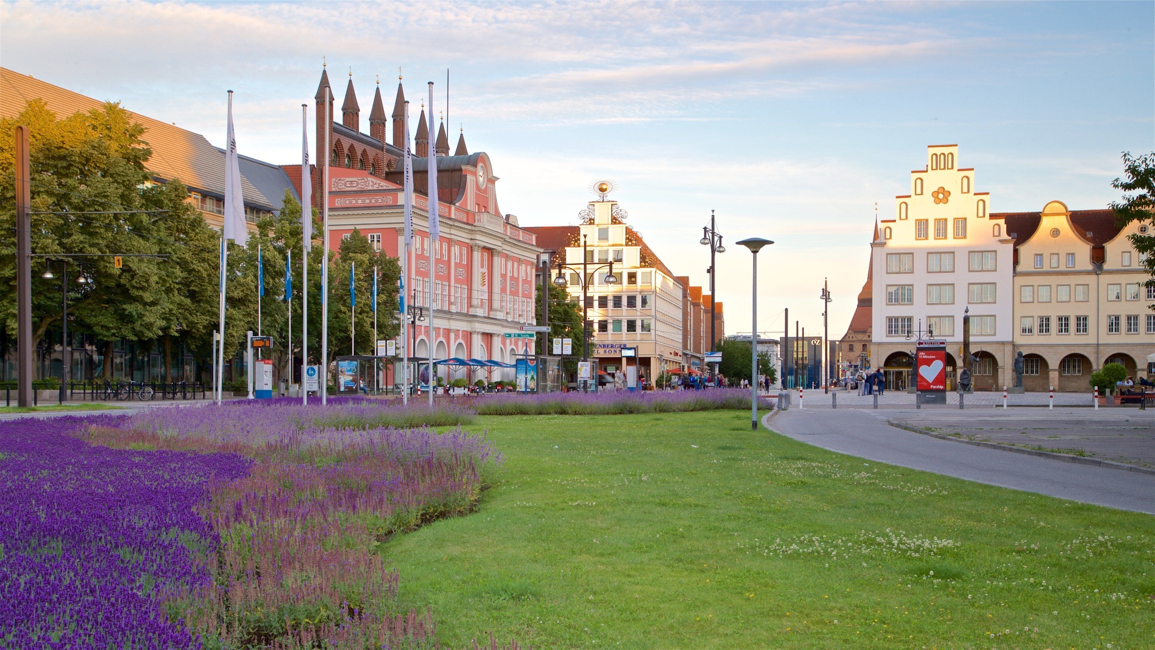 New Market which includes a city, a garden and wildflowers