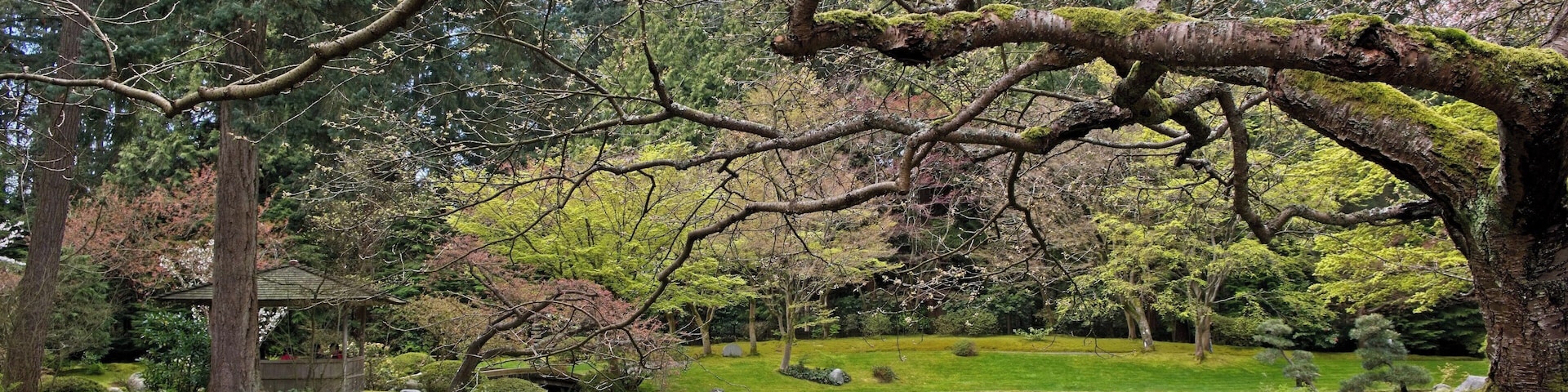 A treasure in University of British Columbia