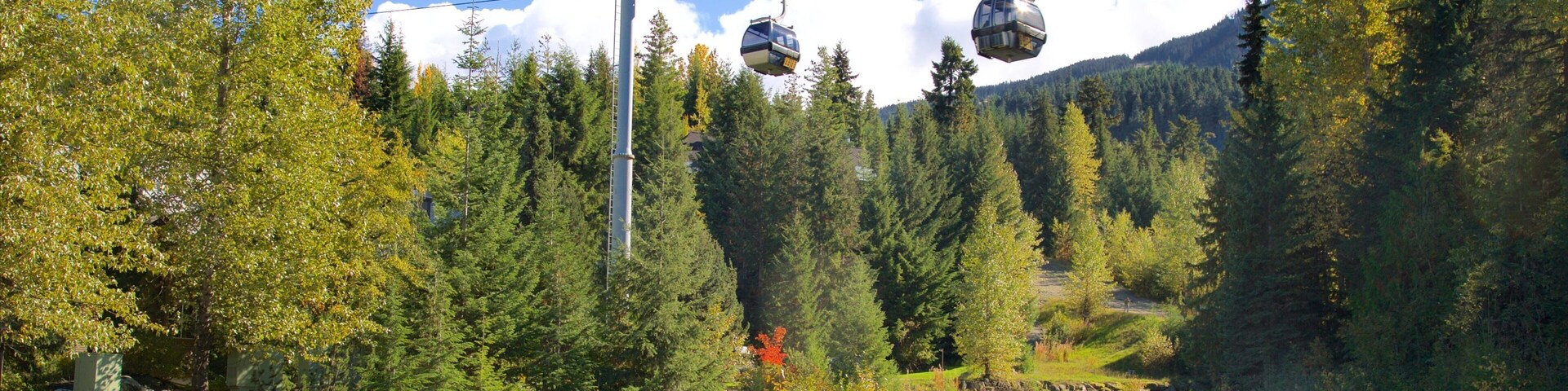 Whistler Blackcomb Ski Resort featuring a river or creek, mountains and forests