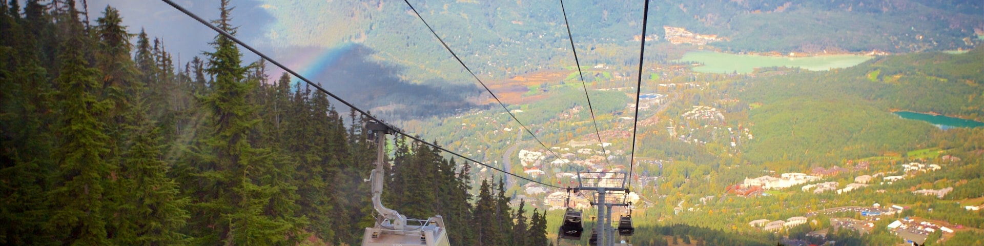 Whistler Blackcomb Ski Resort showing a gondola, forest scenes and mountains