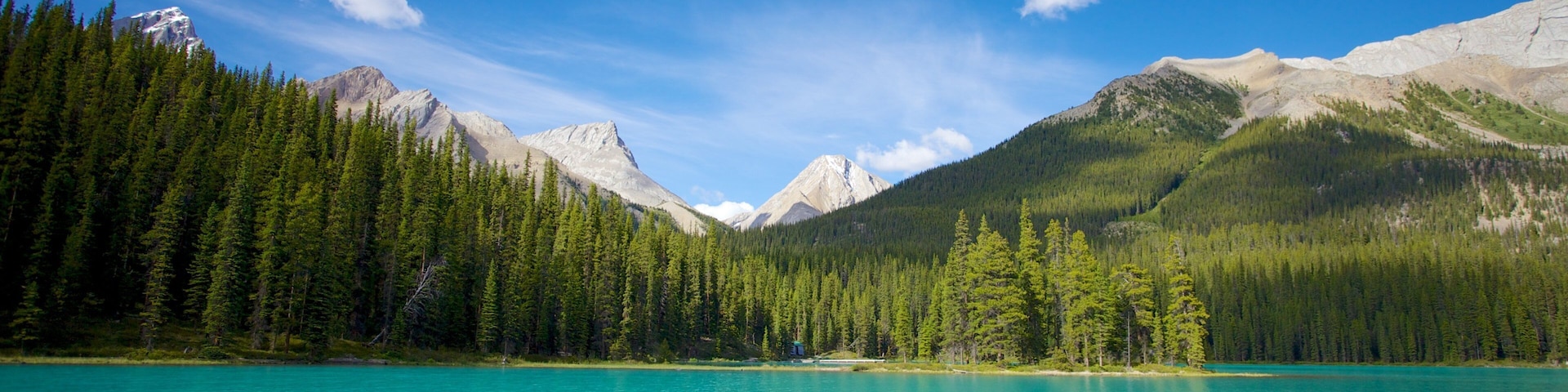Maligne Lake featuring forest scenes, mountains and landscape views