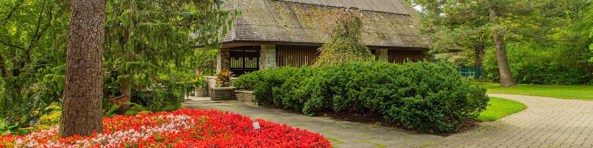Edward Gardens featuring a garden and wildflowers