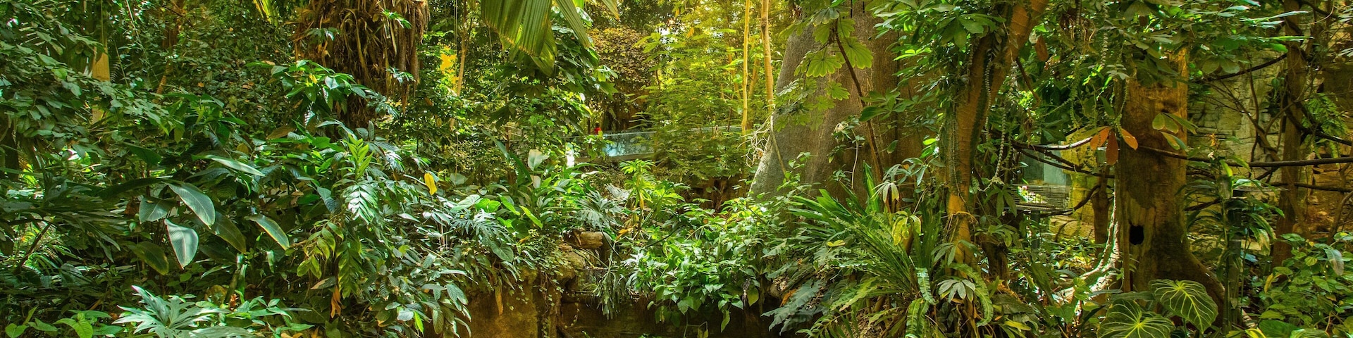 Montreal Biodome featuring a park and forests