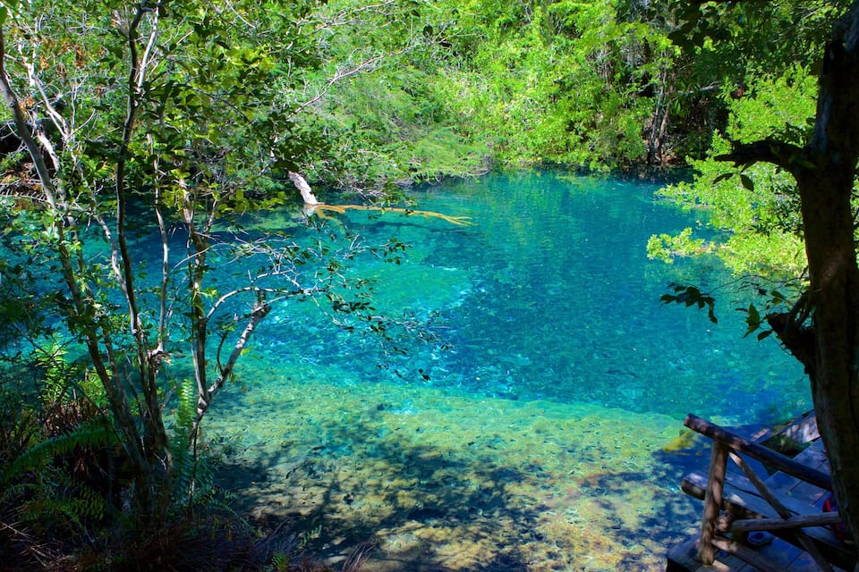 Um lago azul e límpido rodeado por vegetação densa e verdejante.