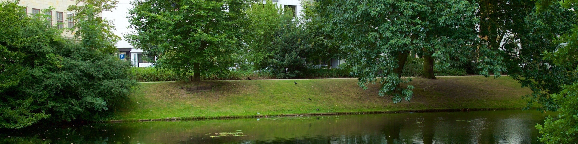 Am Wall caracterizando um lago ou charco