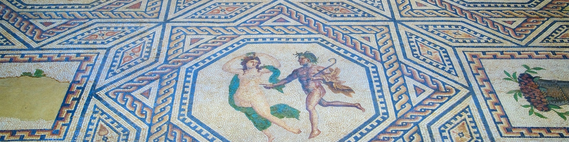 Romano-Germanic Museum which includes heritage elements