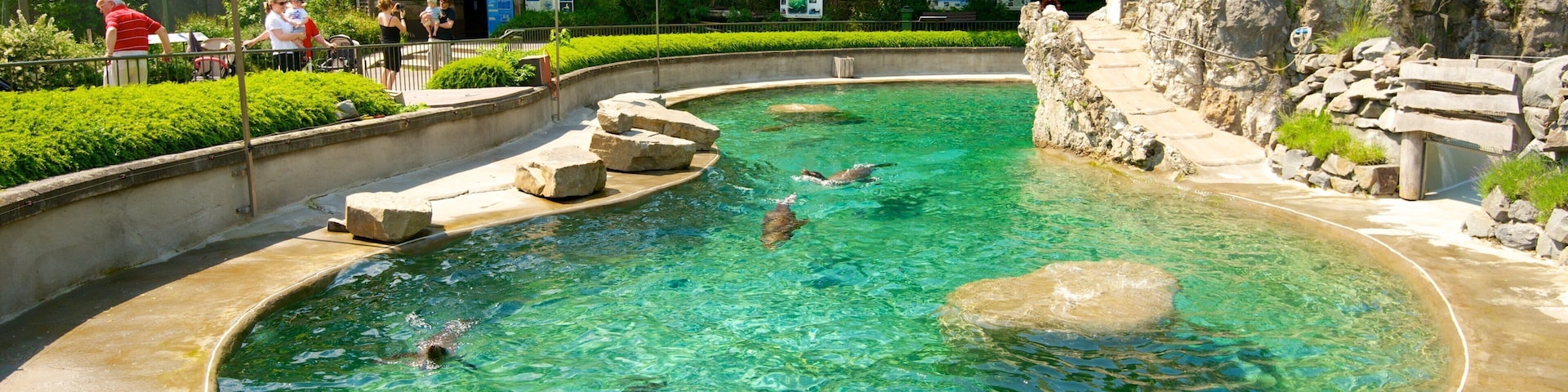 Cologne Zoo featuring zoo animals and marine life